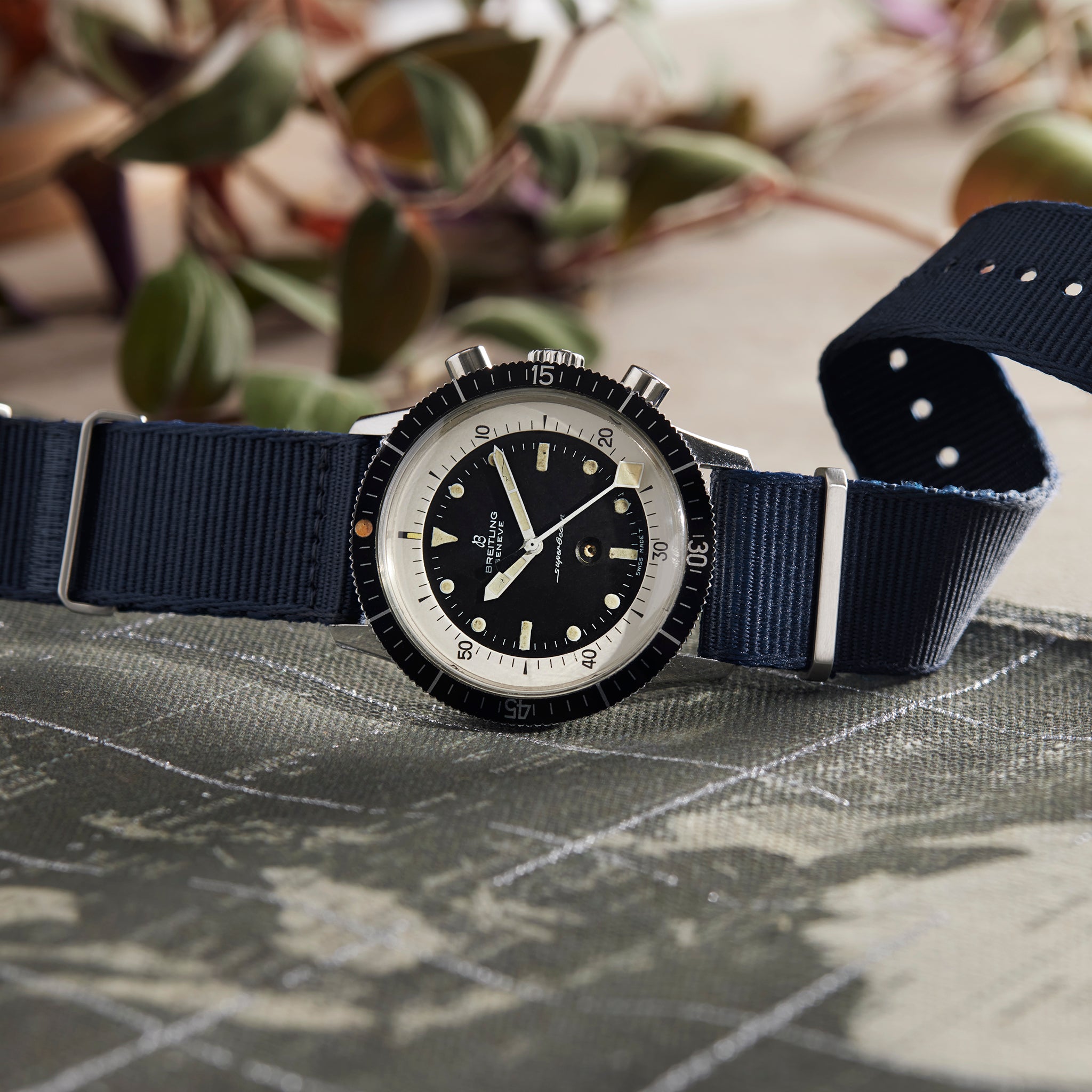 Watch Of The Week: A Very Special Calatrava – HODINKEE Shop